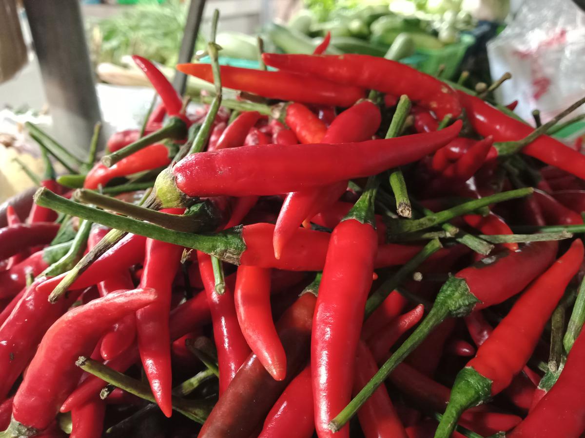 กระเทียมไทย